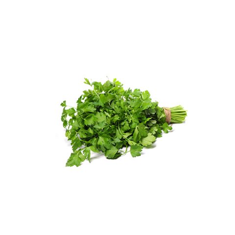 Parsley Chinese/Daun Ketumbar | Nature Farm