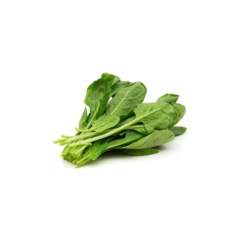 Poh Choy | Nature Farm